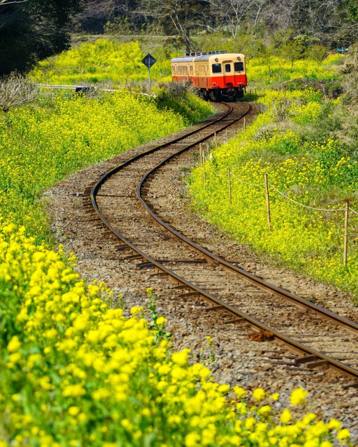 Things To Do In Chiba Prefecture, Just 40 Min From Tokyo