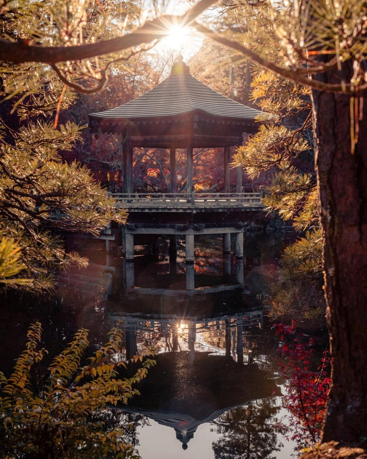 Things To Do In Chiba Prefecture, Just 40 Min From Tokyo