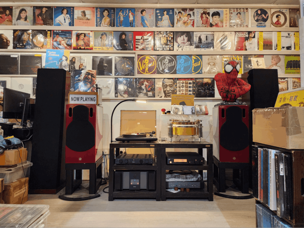 Best Vinyl Record Stores in Singapore
