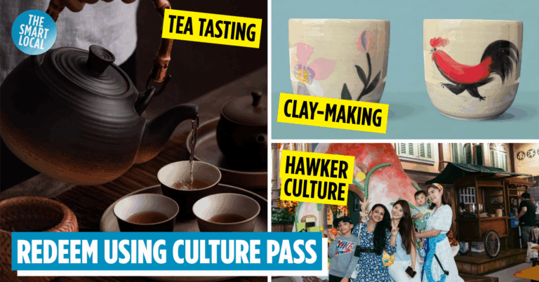 SG Culture Pass: What Is It & 15 Things To Use It For (2026)