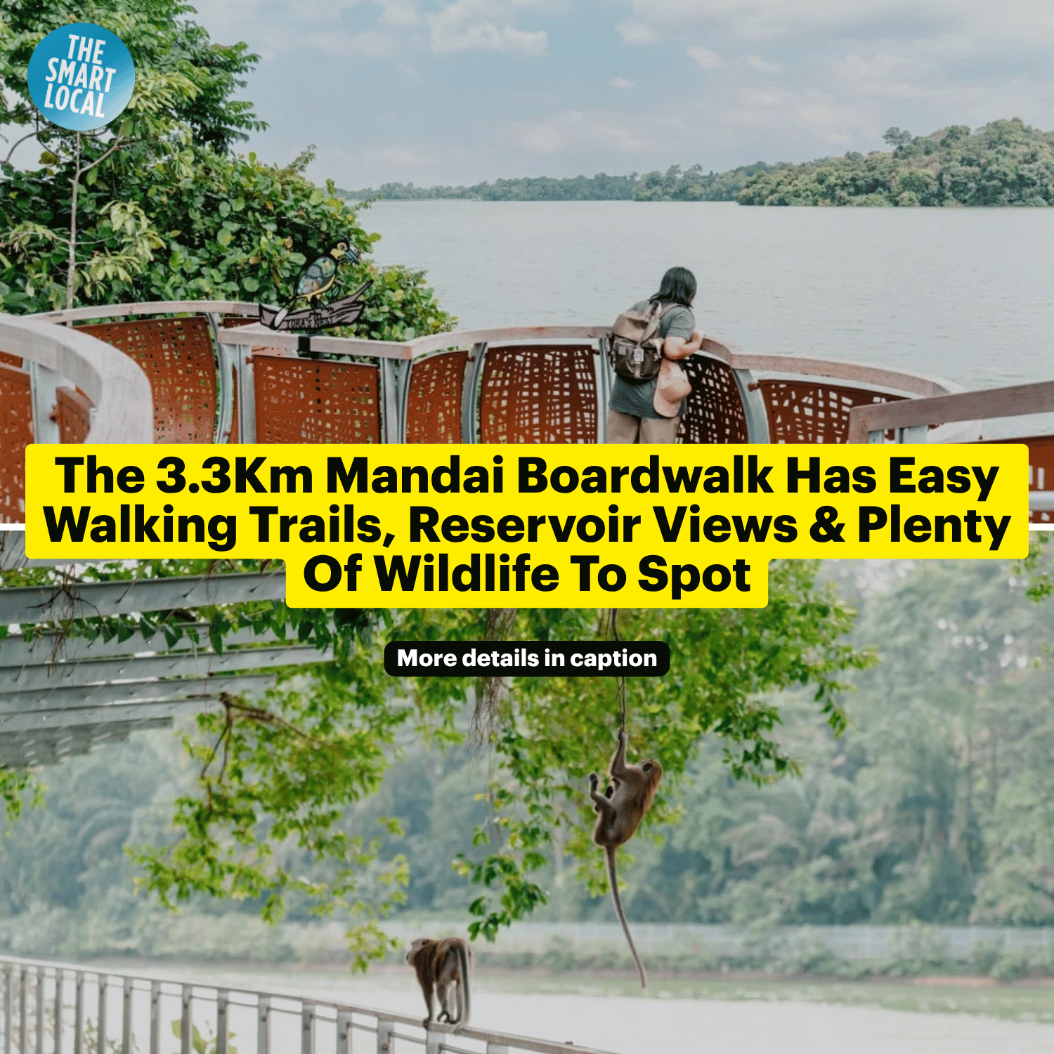 Mandai Boardwalk Guide: 3.3km Walk With Reservoir Views & Free Entry (2026)