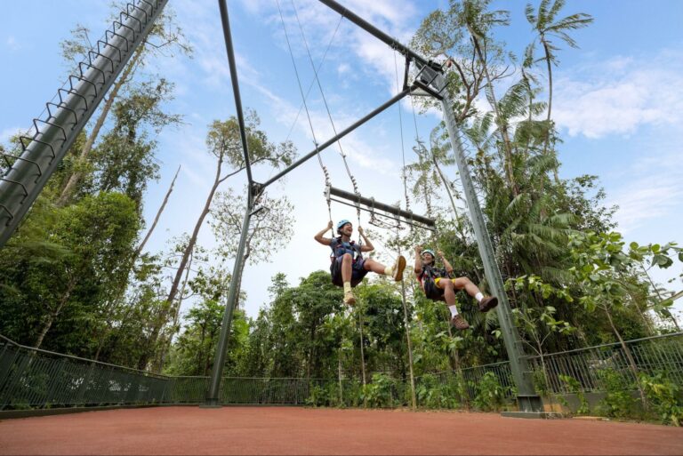 Rainforest Wild Adventure Takes You Through The Rainforests Of Asia ...